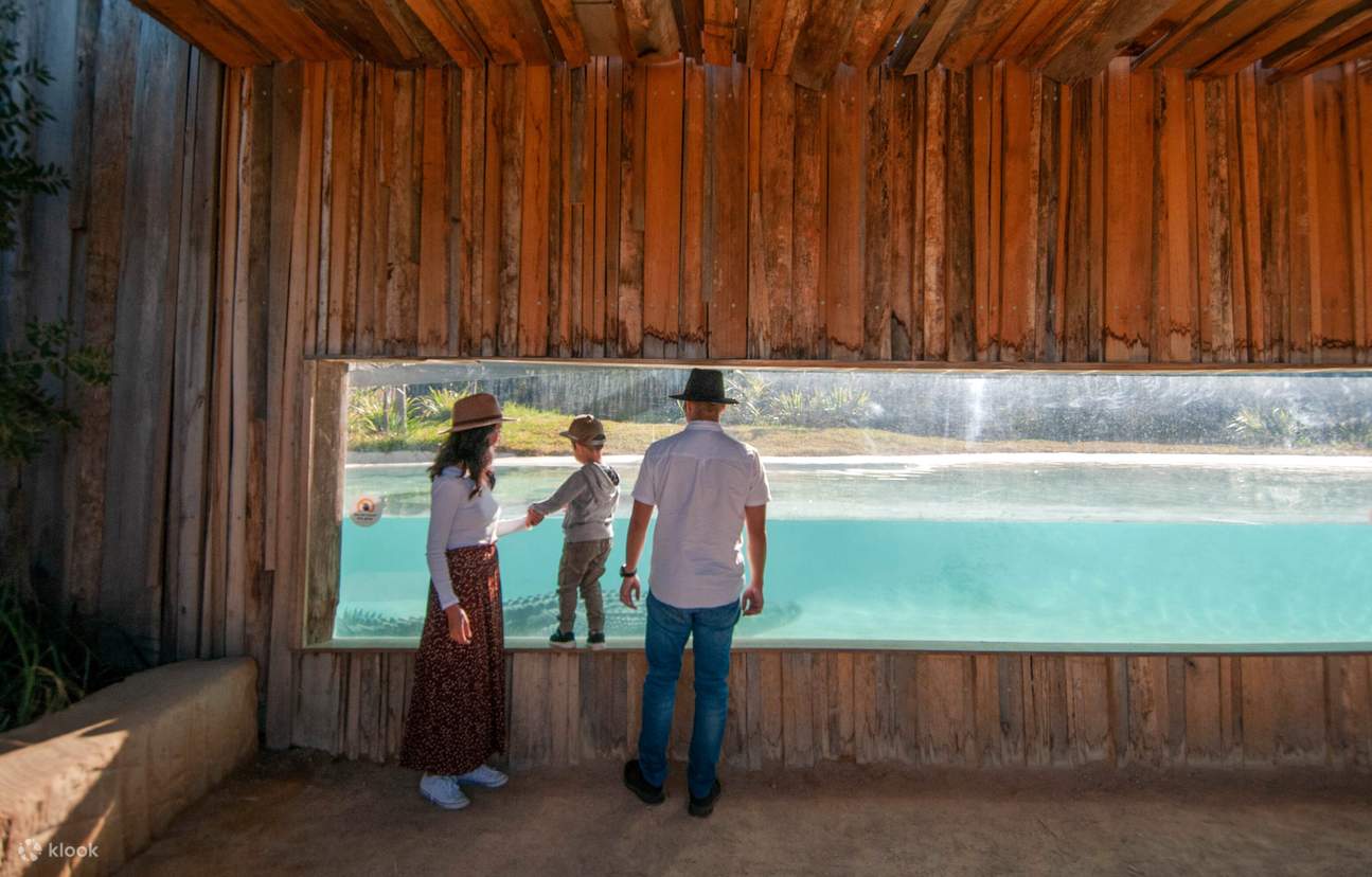 Triple Pass: Sydney Zoo, Scenic World Blue Mountains and Bridgeclimb ...